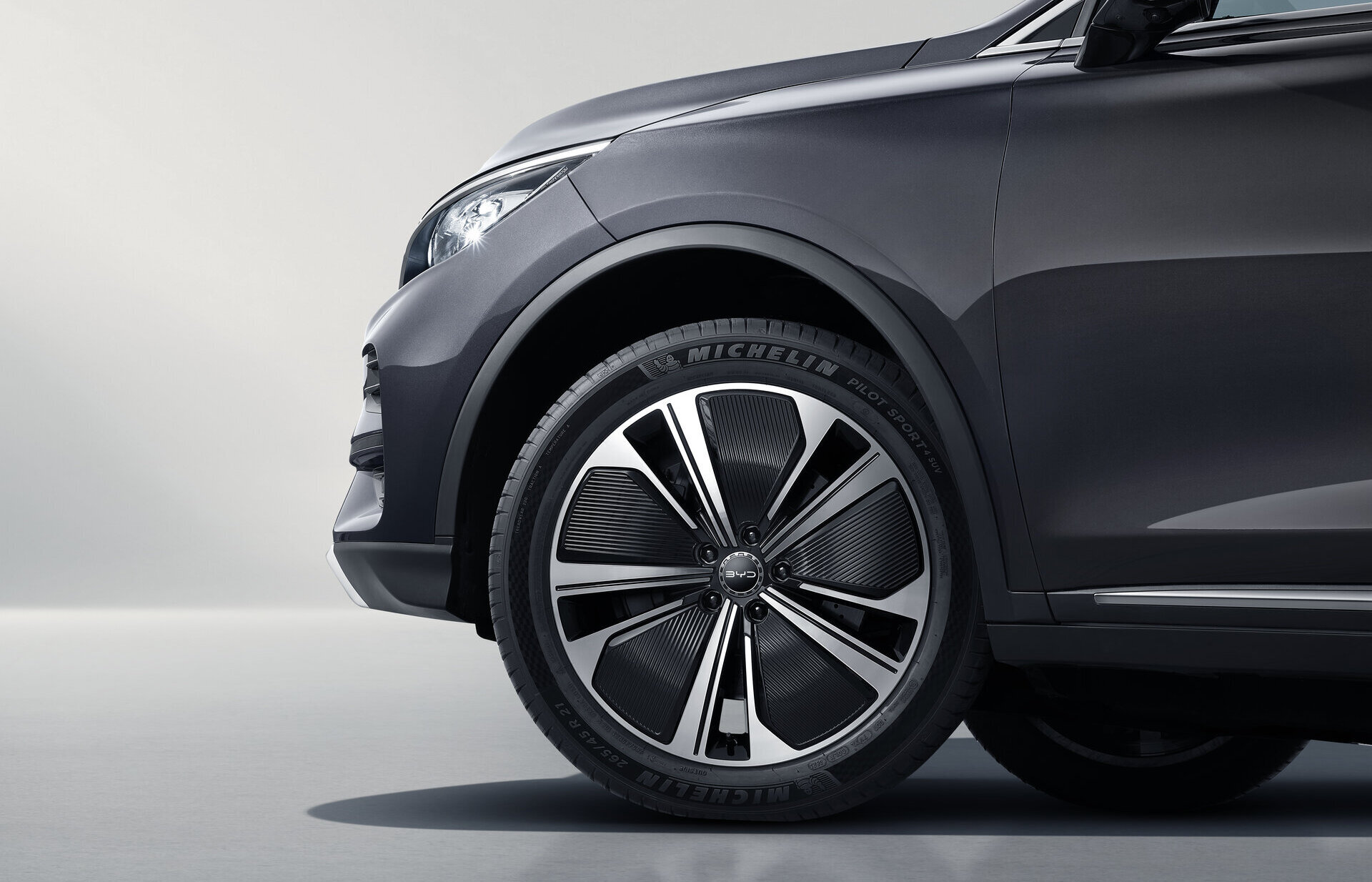 BYD TANG | STERNAUTO